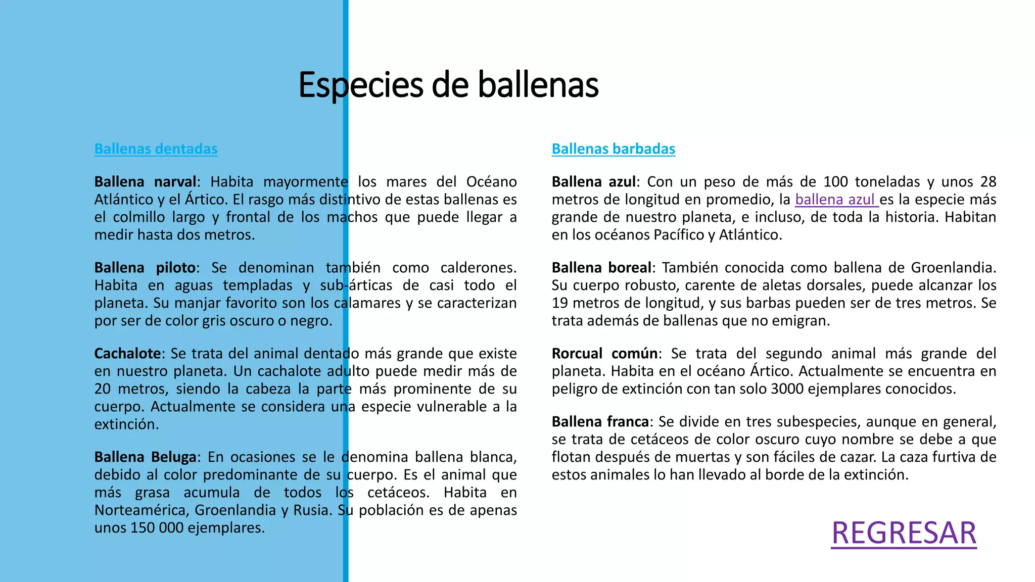 Las ballenas | PPTX | Fish and Aquariums | Pets
