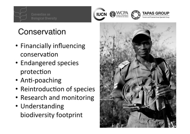 Integrating sustainability, Sue Snyman | PPT Integrating sustainability, Sue Snyman | PPT
