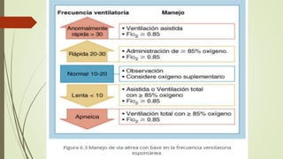 XABC DE TRAUMA.pptx
