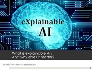 Explainability methods | PDF
