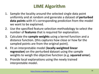 xai basic solutions , with some examples and formulas | PPTX | Computing | Technology & Computing