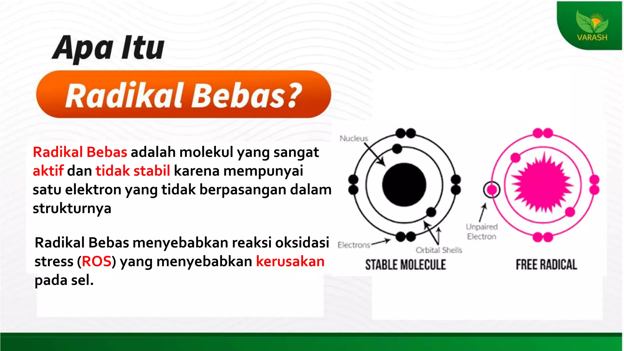 XAMPLUS PRESENTASI ASAM URAT.pptx