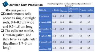 Xanthan Gum Biopolymer | PPTX | Chemistry | Science