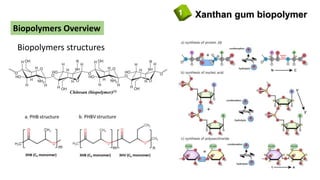 Xanthan Gum Biopolymer | PPTX | Chemistry | Science