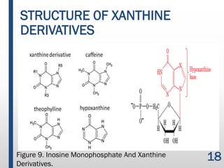 Xanthines and cancer | PDF