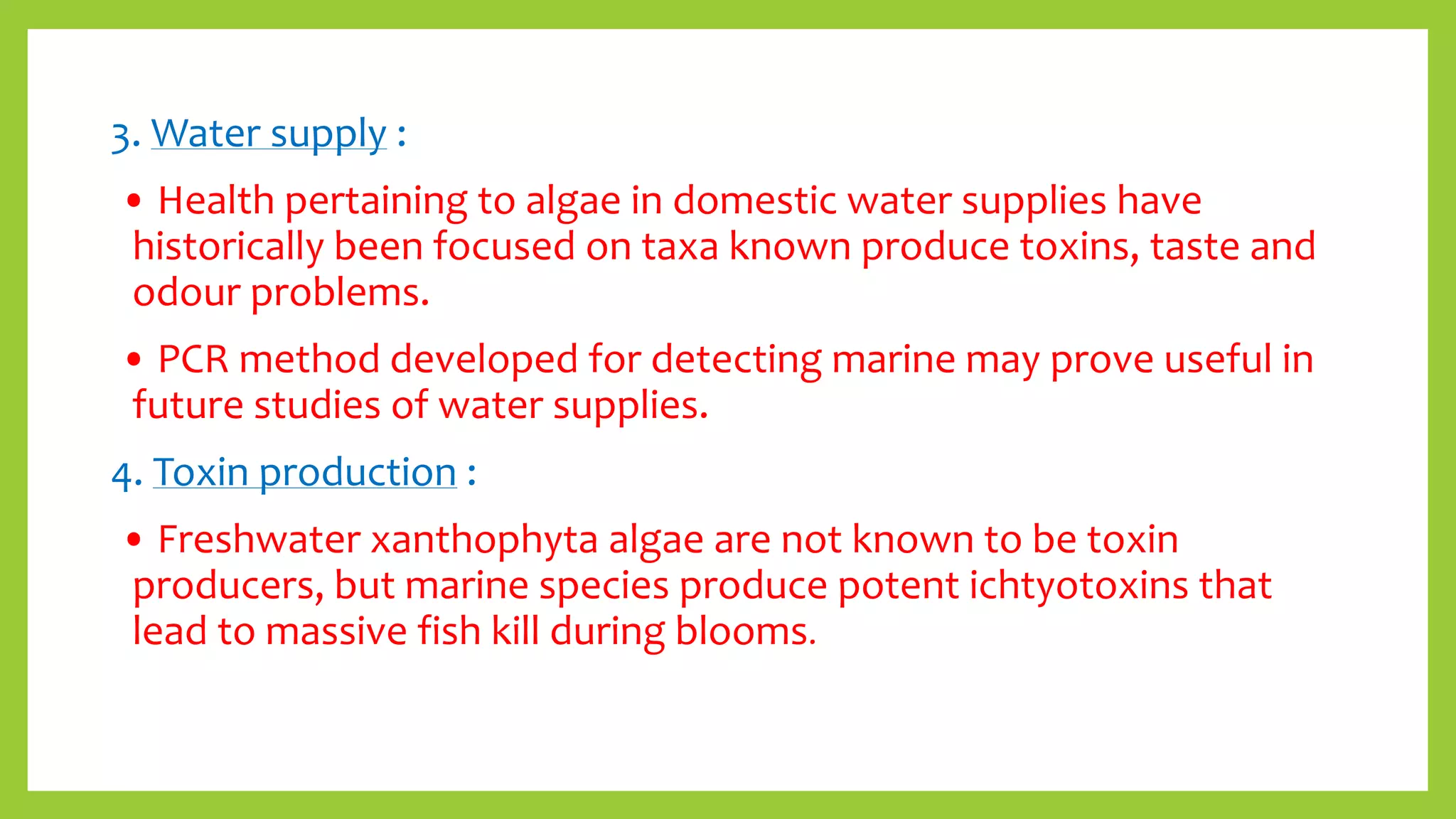 Xanthophyceae | PPTX