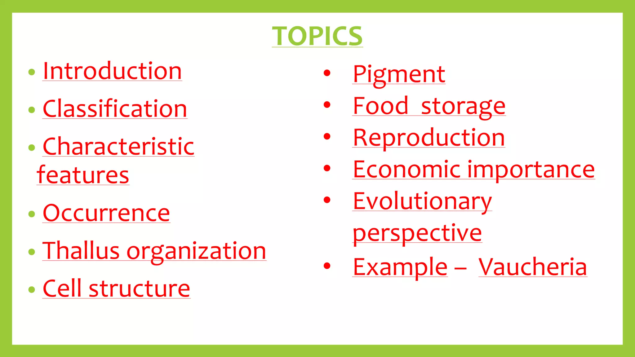 Xanthophyceae | PPTX