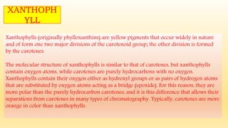 Xanthophyll ppt | PPTX
