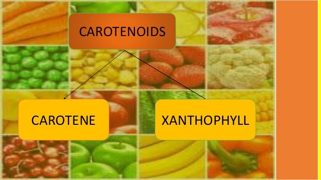 Xanthophyll ppt