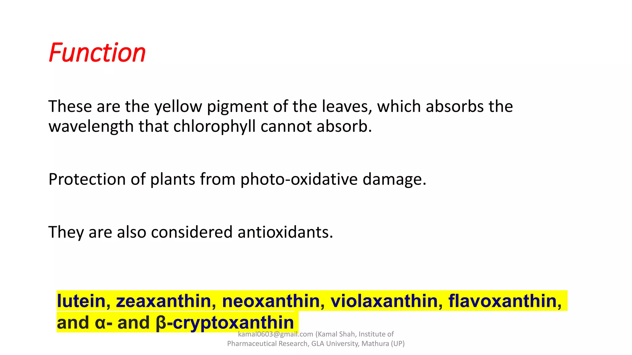 Xanthophylls | PPTX