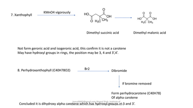 Xanthophylls | PPTX | Chemistry | Science