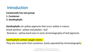 Xanthophylls | PPTX