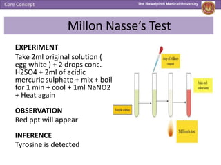 xanthoprotic millons test.pptx