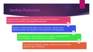 Xanthun Gum Production by Maliha Rashid.pptx
