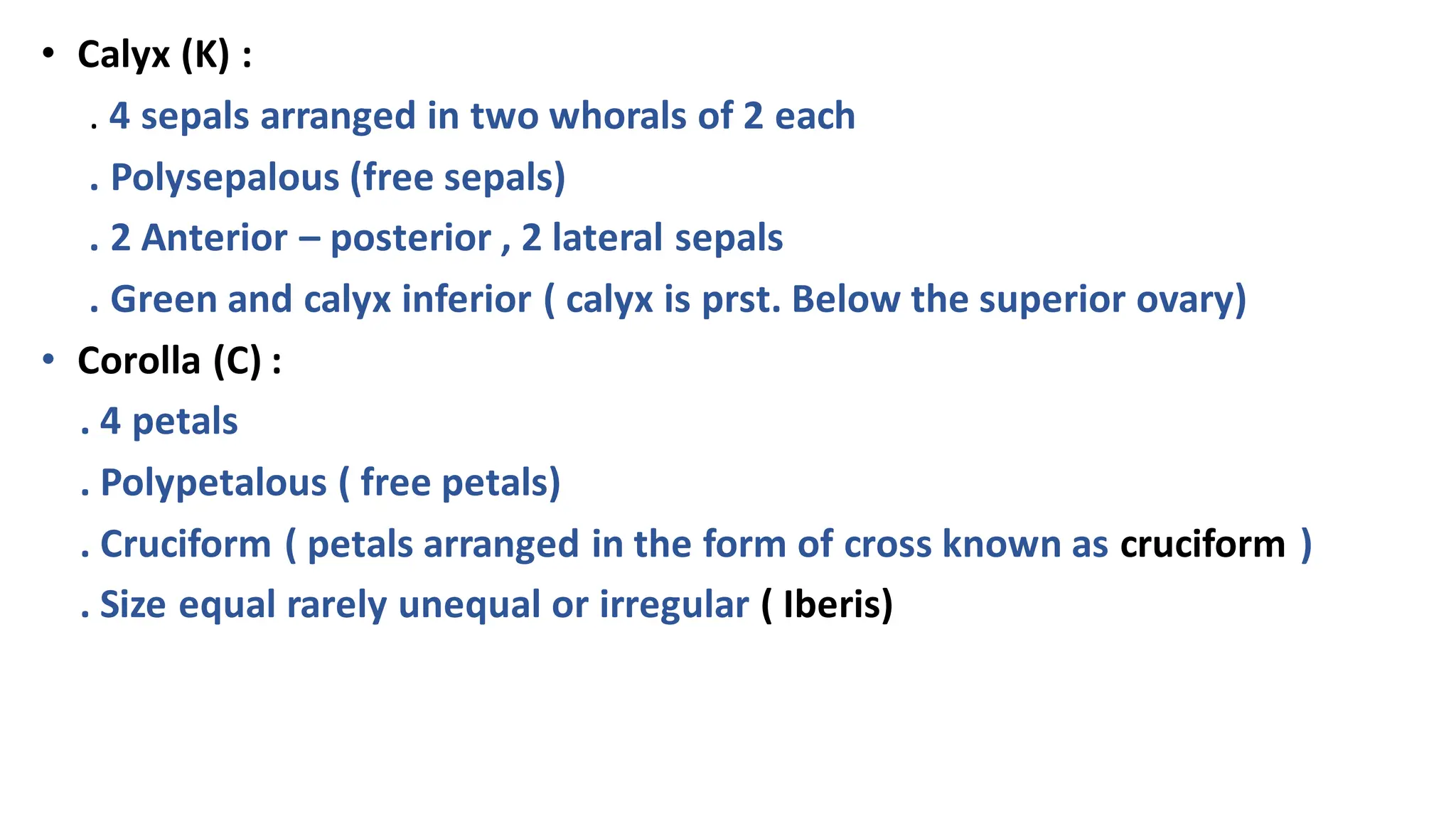 Brassicaceae_presentation_with_you.pdf