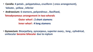 Brassicaceae_presentation_with_you.pdf