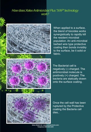XAP - Long Term Antimicrobial Coating and disinfectant. | PDF ...