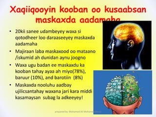 Xaqiiqooyin kooban oo kusaabsan maskaxda aadamaha | PPTX
