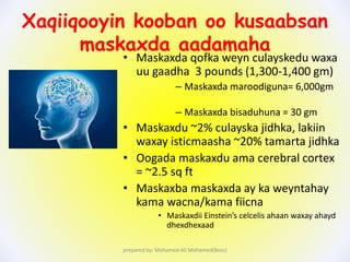 Xaqiiqooyin kooban oo kusaabsan maskaxda aadamaha | PPTX