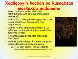 Xaqiiqooyin kooban oo kusaabsan maskaxda aadamaha | PPTX