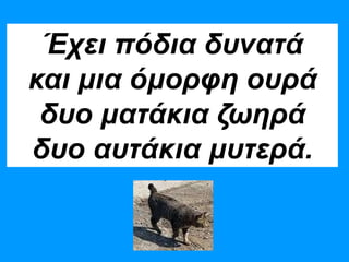 ΧΑΣΑΜΕ ΤΗ ΓΑΤΑ | PPTX