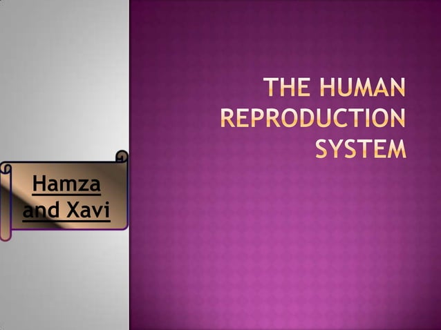 Human reproduction | PPT