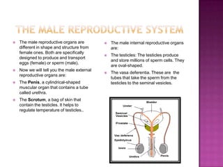Human reproduction | PPTX