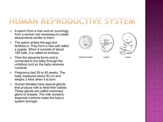 Human reproduction | PPTX