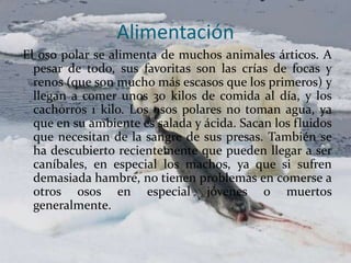 Osos Polares | PPTX