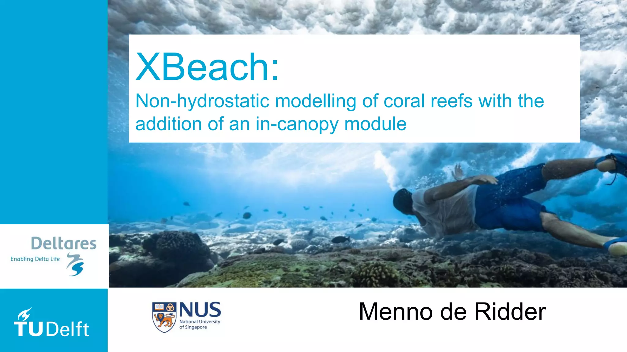 Dsd Int 2017 Non Hydrostatic Wave Modeling Of Coral Reefs With The Addition Of An In Canopy