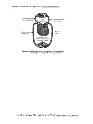 X biology full notes chapter 1 | PDF