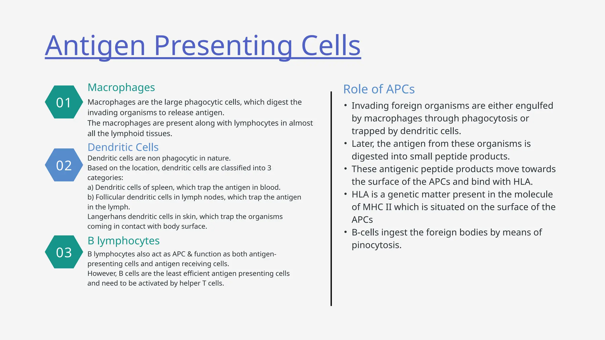 CELL MEDIATED IMMUNITY by Vaibhav Bali | PPTX