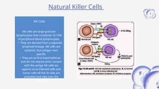 CELL MEDIATED IMMUNITY by Vaibhav Bali | PPTX