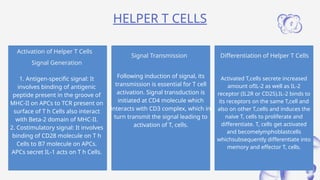 CELL MEDIATED IMMUNITY by Vaibhav Bali | PPTX