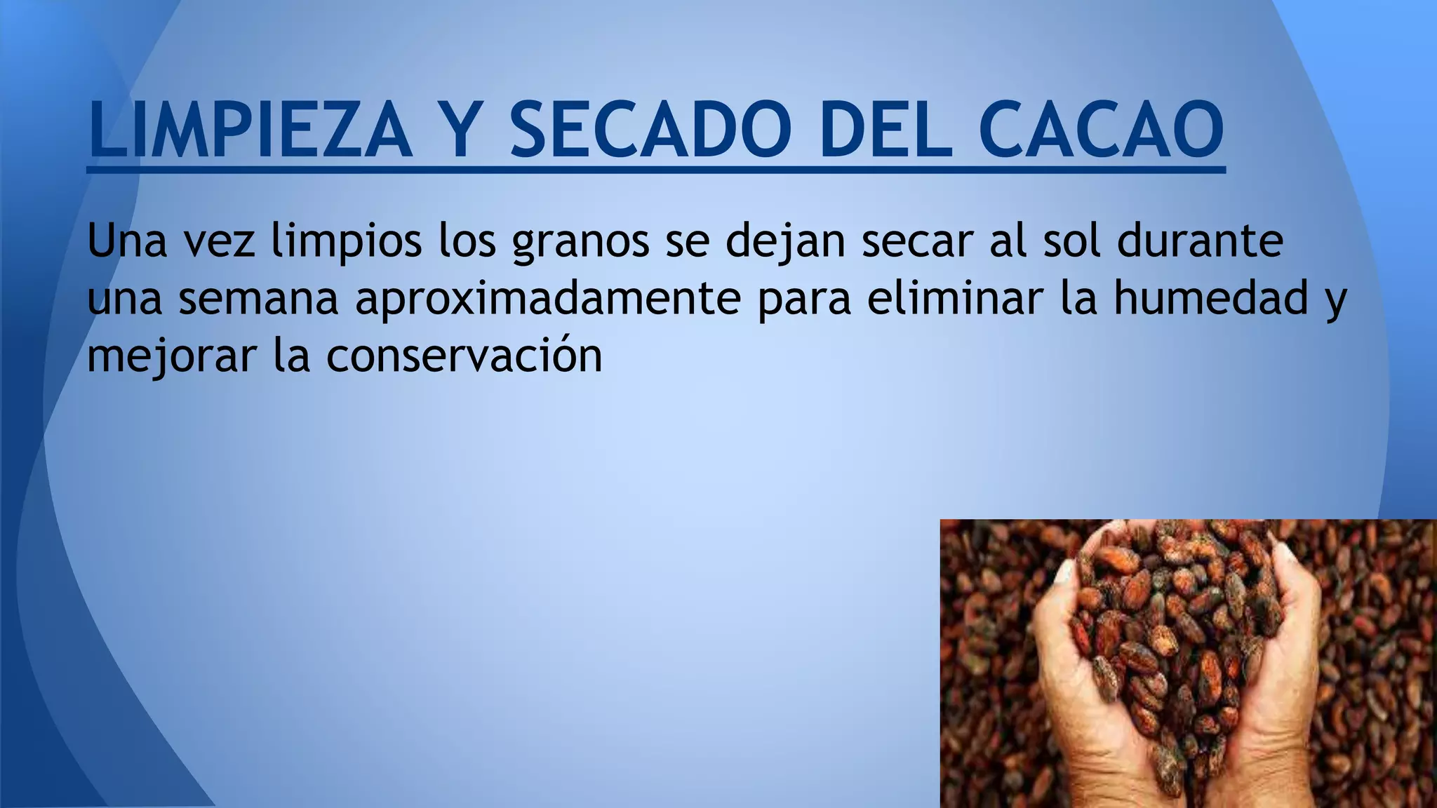 PROCESO PRODUCTIVO DEL CHOCOLATE | PPTX