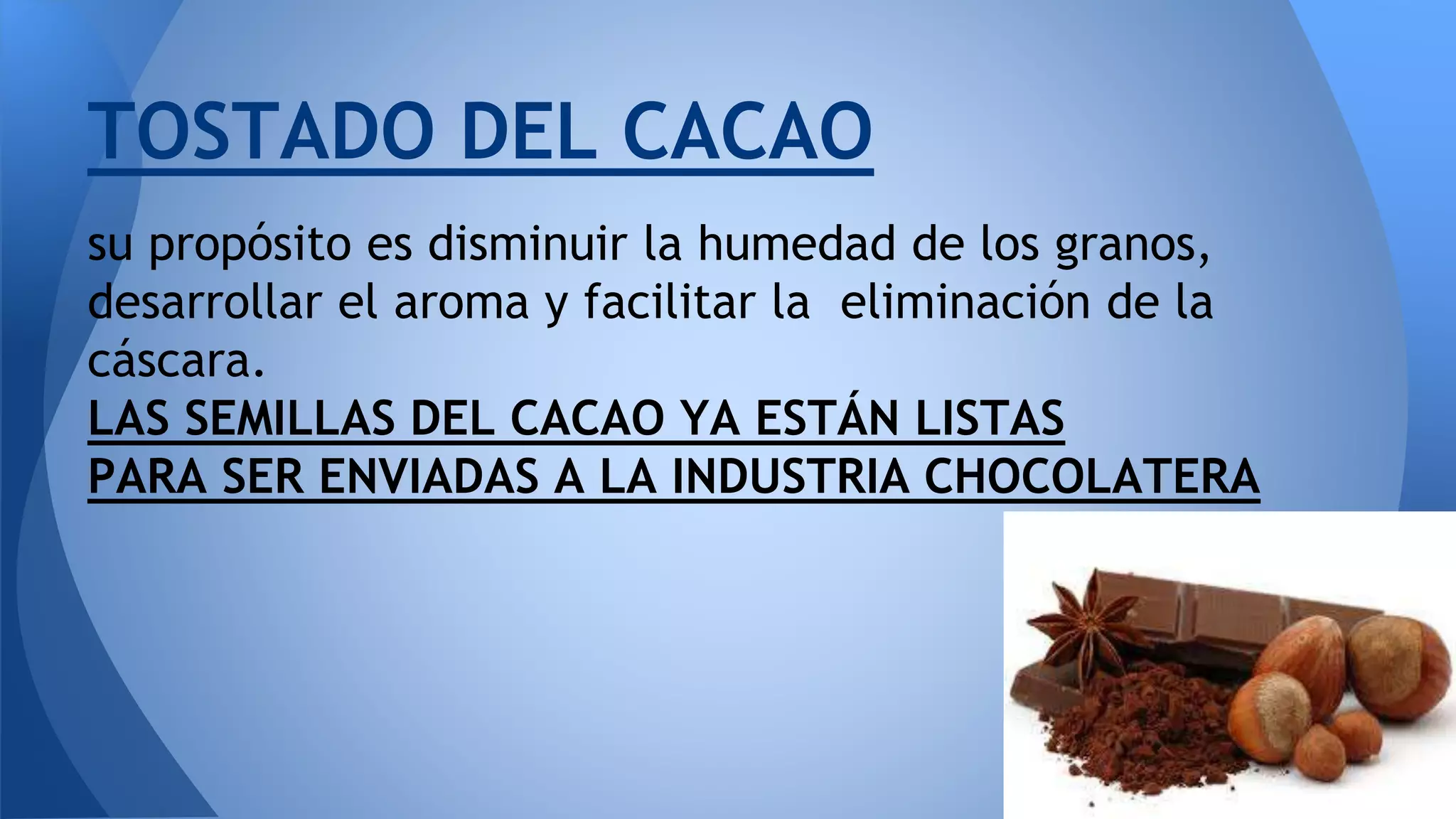 PROCESO PRODUCTIVO DEL CHOCOLATE | PPT
