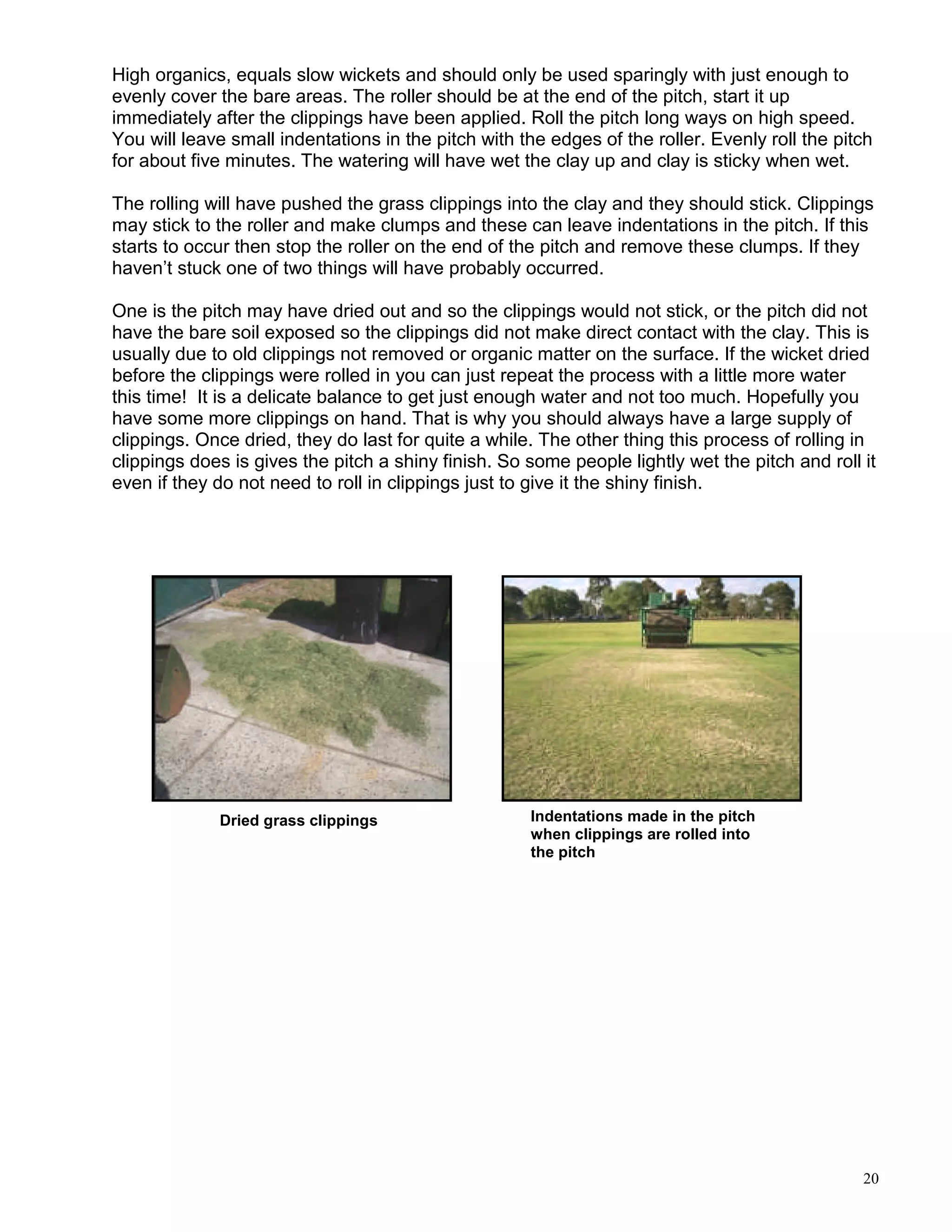 Basic guide to turf cricket pitch preparation | PDF