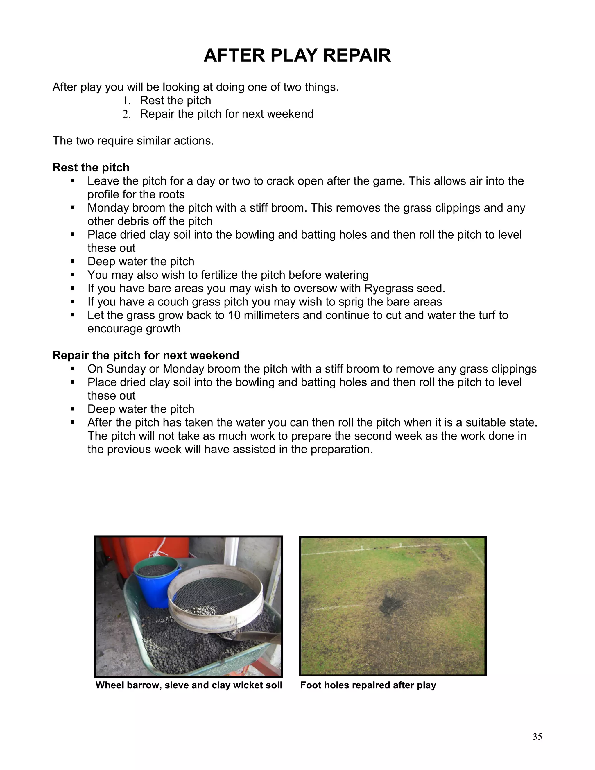 Basic guide to turf cricket pitch preparation | PDF