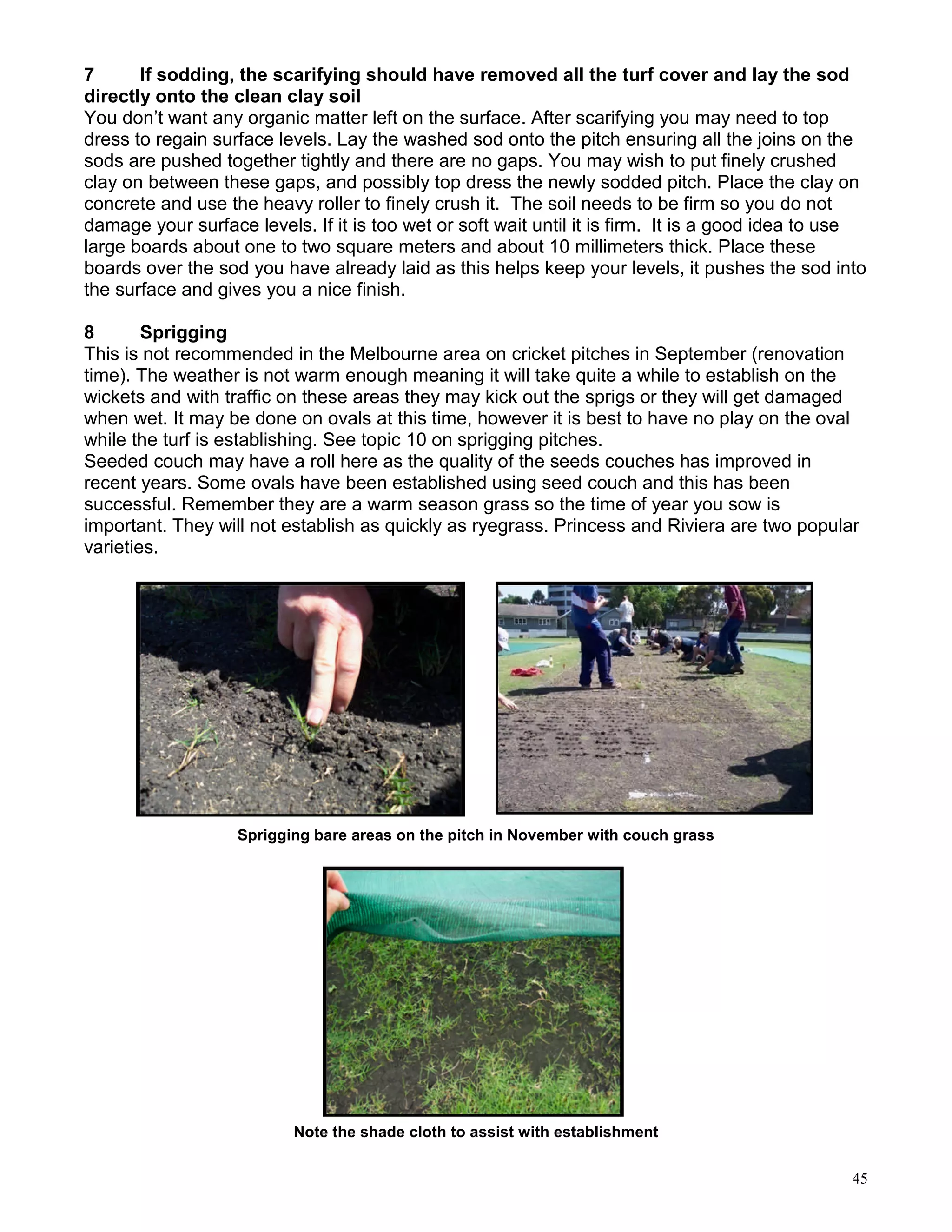 Basic guide to turf cricket pitch preparation | PDF