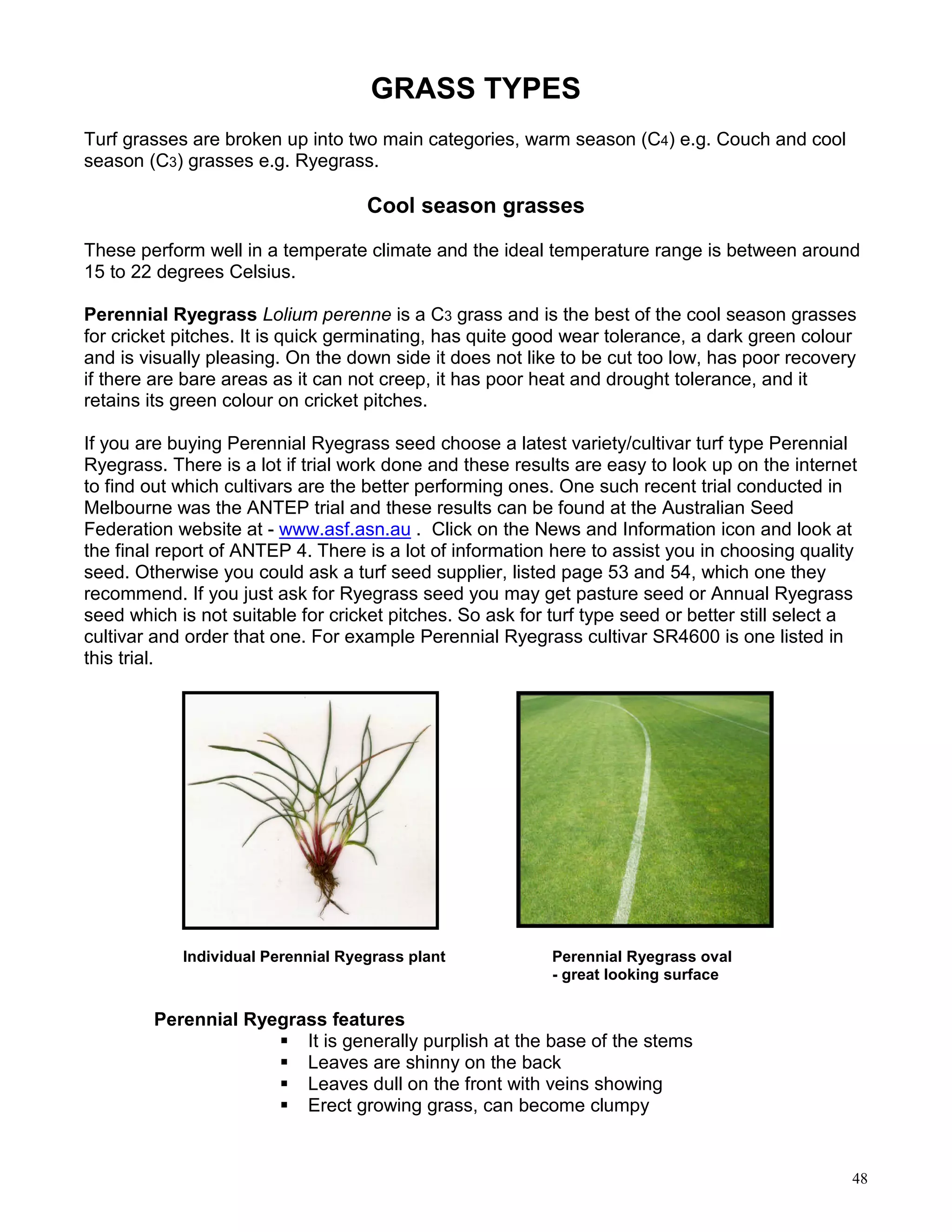 Basic guide to turf cricket pitch preparation | PDF