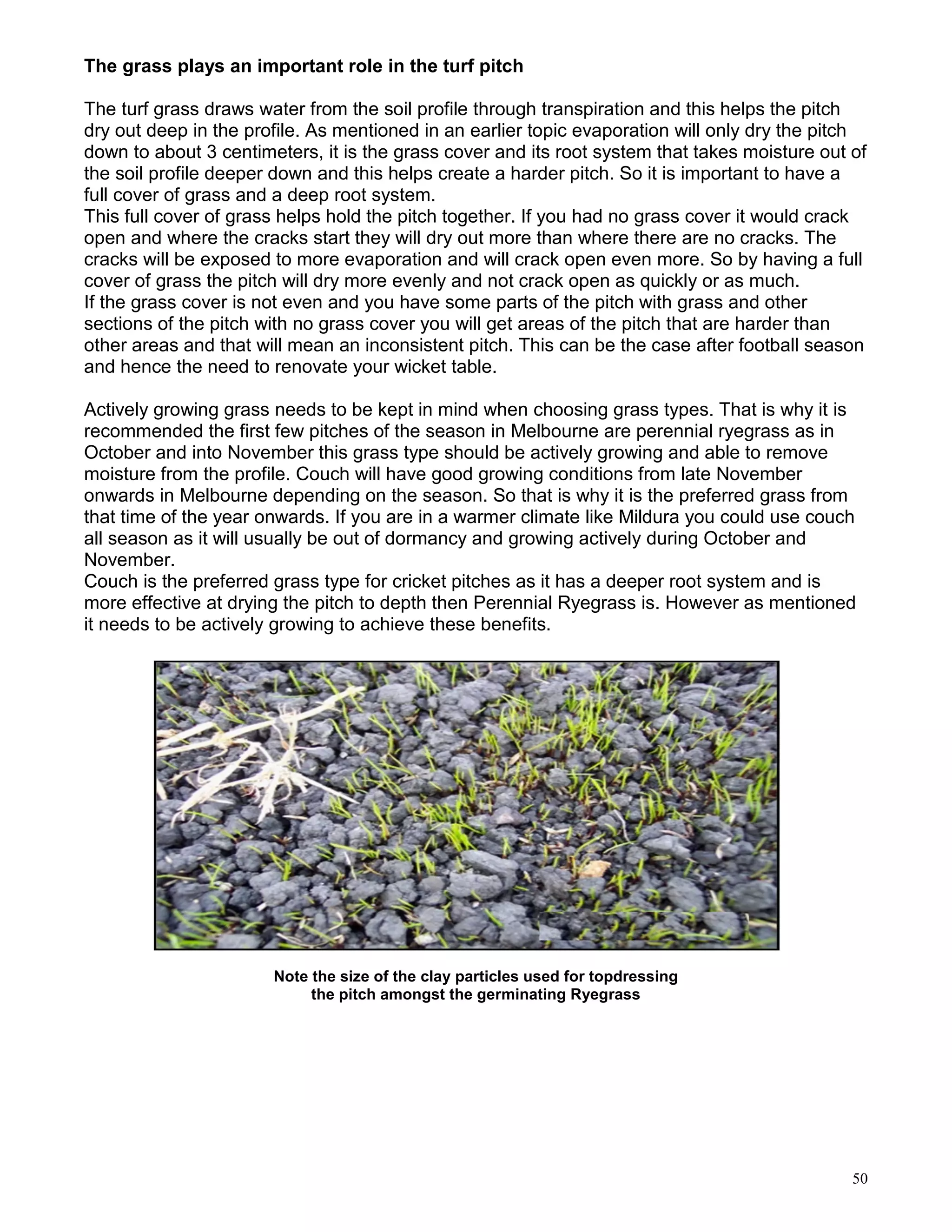 Basic guide to turf cricket pitch preparation | PDF