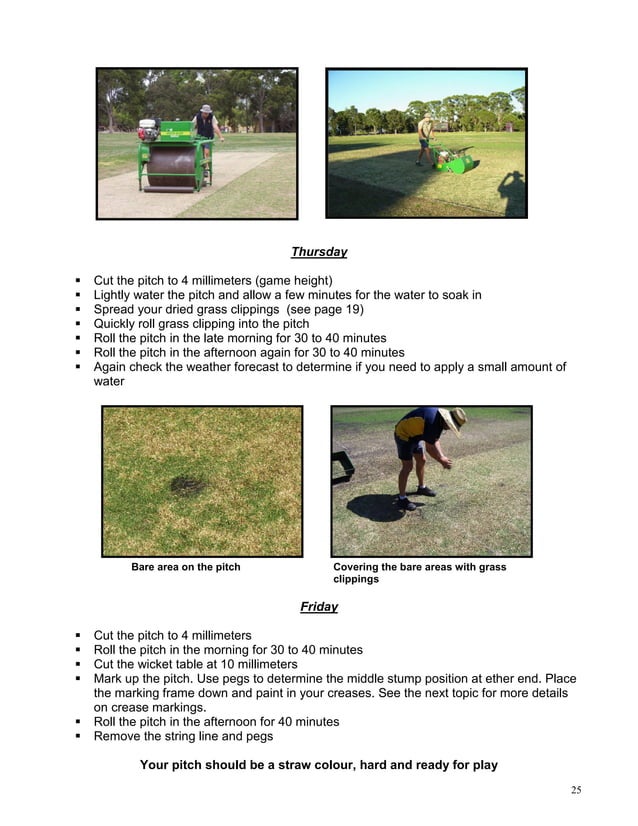 Basic guide to turf cricket pitch preparation | PDF