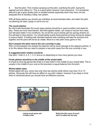 Basic guide to turf cricket pitch preparation | PDF