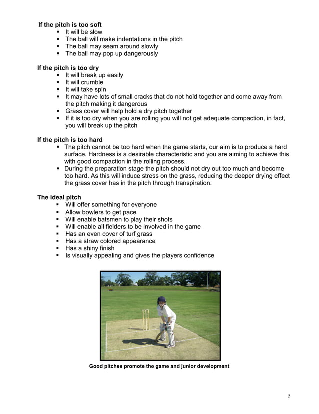 Basic guide to turf cricket pitch preparation | PDF
