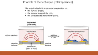 xCELLigence Real-Time Cell Analyzer.pptx