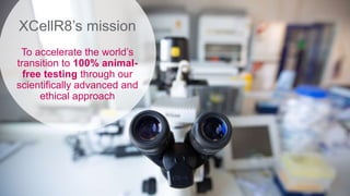 Taking the sting out of mildness testing | PPT