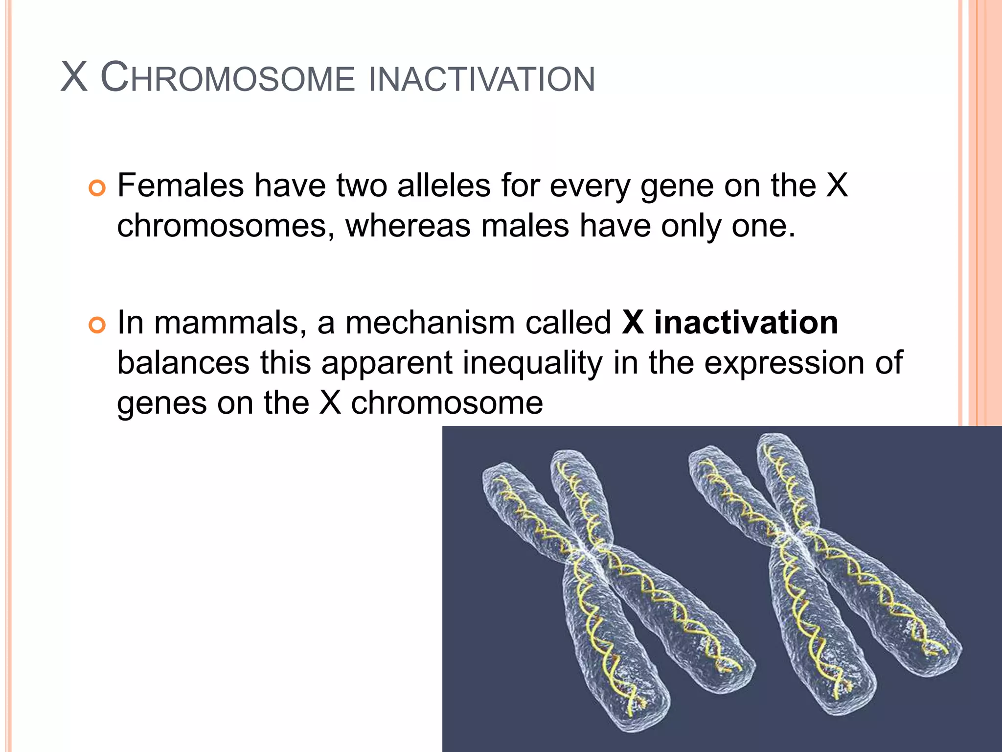 X chromosome inactivation | PPTX