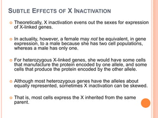 X chromosome inactivation | PPTX