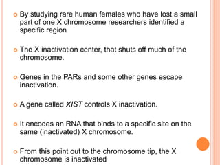 X chromosome inactivation | PPTX