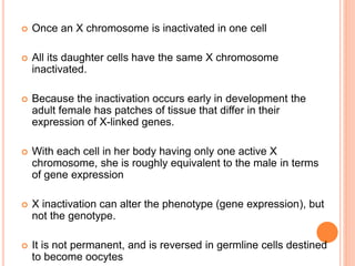 X chromosome inactivation | PPTX